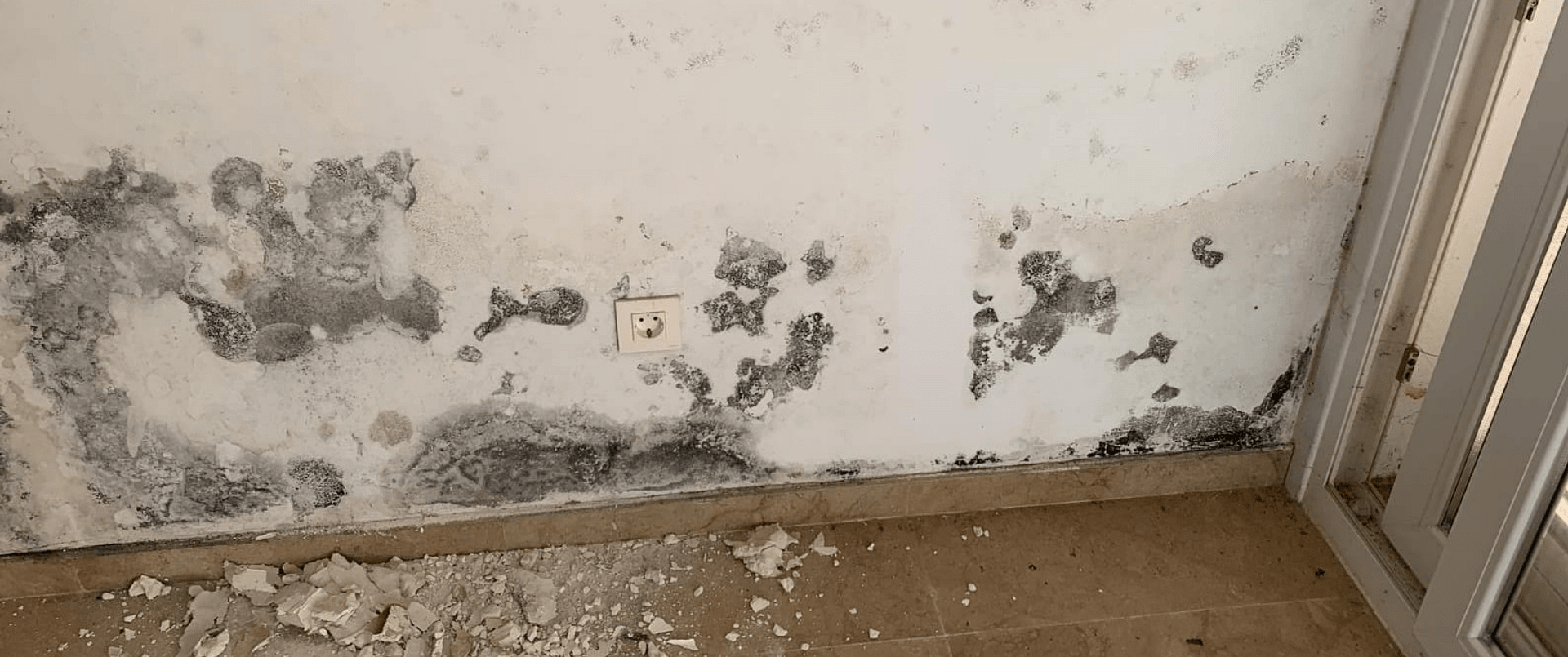 ¿Humedad En Paredes? Claves Para Combatirla. * Empresa de humedades